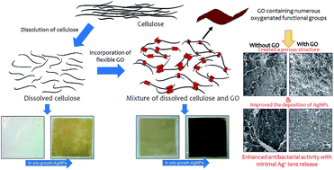 Antibacterial hybrid cellulose–graphene oxide nanocomposite immobilized ...