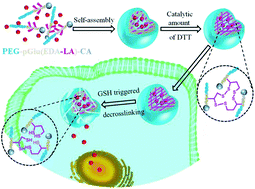 Disulfide cross-linked cholic-acid modified PEG–poly(amino acid) block ...