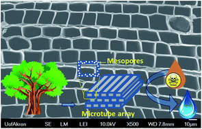 Carbon monolith with embedded mesopores and nanoparticles as a novel ...