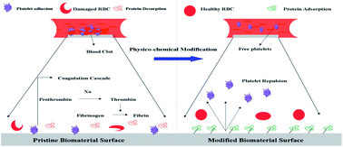 Review: physico-chemical modification as a versatile strategy for the ...
