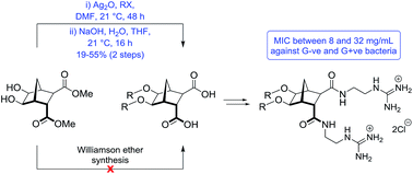 Synthesis of norbornane bisether antibiotics via silver-mediated ...