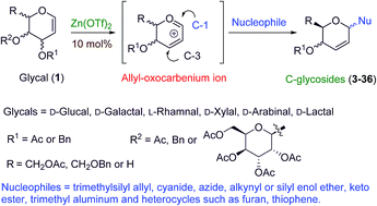 A mild and efficient Zn-catalyzed C-glycosylation: synthesis of C(2)–C ...