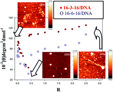 DNA conformational changes induced by cationic gemini surfactants: the ...