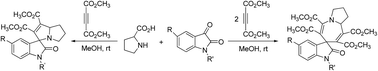 Unprecedented formation of spiro[indoline-3,7′-pyrrolo[1,2-a]azepine ...