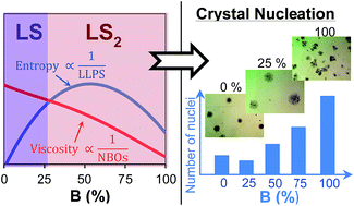 Glass structure and crystallization of Al and B containing glasses ...