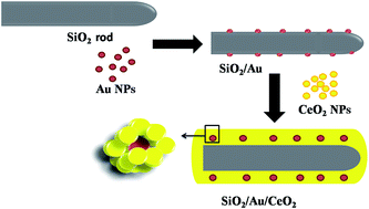 Synthesis of a hierarchical SiO2/Au/CeO2 rod-like nanostructure for ...