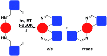 Iterative double cyclization reaction by SRN1 mechanism. A theoretical ...