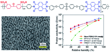 A sulfonated polybenzophenone/polyimide copolymer as a novel proton ...