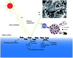 Enhanced visible light photocatalytic activity of a floating photocatalyst based on B–N-codoped ...