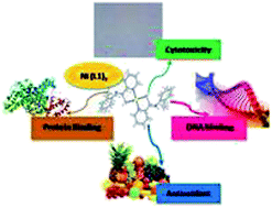 Synthesis and structure of nickel(ii) thiocarboxamide complexes: effect ...