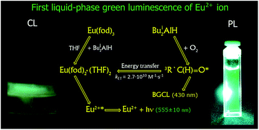 The first registration of a green liquid-phase chemiluminescence of the ...