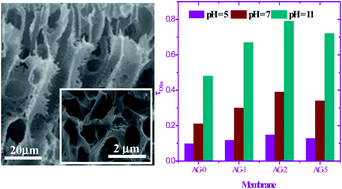 Quaternized polysulfone and graphene oxide nanosheet derived low ...