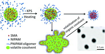 Amphiphilic quasi-block copolymers and their self-assembled ...