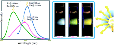 Regioselective synthesis of polygamma (γ) acid - RSC Advances (RSC ...