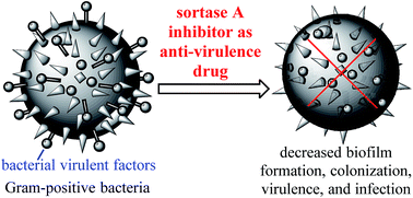 Recent progress in the development of sortase A inhibitors as novel ...