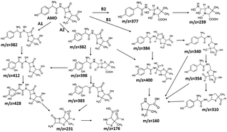 Enhanced amoxicillin treatment using the electro-peroxone process: key ...