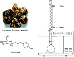 Infrared-assisted extraction of salidroside from the root of Rhodiola ...