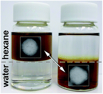 Straightforward phase-transfer route to colloidal iron oxide ...