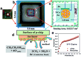 Fabrication of highly sensitive ethanol sensor based on doped ...