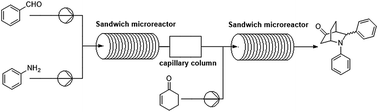 Heteropoly acid-catalyzed three-component aza-Diels–Alder reaction in a ...