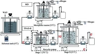 Upgrading of anaerobic digestion of waste activated sludge by a hyper ...