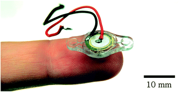 A polymer chip-integrable piezoelectric micropump with low backpressure ...