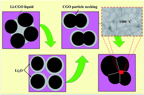 Role of lithium oxide as a sintering aid for a CGO electrolyte ...