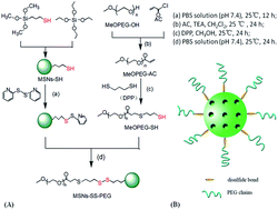 Redox-sensitive mesoporous silica nanoparticles functionalized with PEG ...