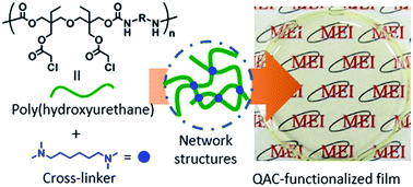 Synthesis of polyhydroxyurethanes from di(trimethylolpropane) and their ...