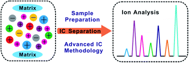 Advanced analytical methods and sample preparation for ion ...