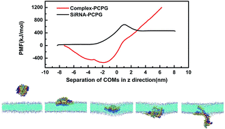 A multi-scale molecular dynamics simulation of PMAL facilitated ...