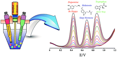 A new electrochemical sensor based on a nitrogen-doped graphene/CuCo2O4 ...