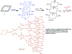A structural study on ethylenediamine- and poly(amidoamine ...