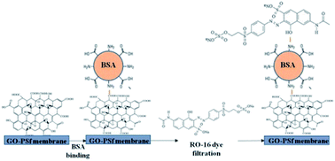 Protein mediated textile dye filtration using graphene oxide ...