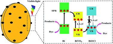 The enhanced photocatalytic properties of BiOCl/BiVO4 p–n heterojunctions via plasmon resonance ...
