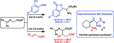 Design of chiral urea-quaternary ammonium salt hybrid catalysts for ...