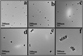 SERS-active Au NR oligomer sensor for ultrasensitive detection of ...