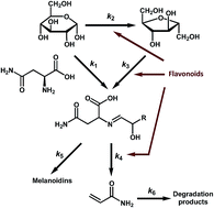 Unravelling the effect of flavonoids on the kinetic profiles of ...