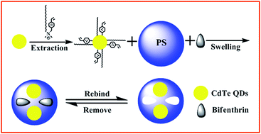 Swelling technique inspired synthesis of a fluorescent composite sensor ...