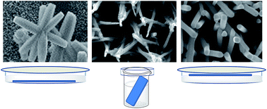 Directing the growth of ZnO nano structures on flexible substrates ...