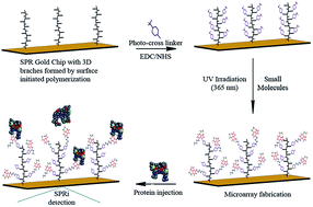 Universal screening platform using three-dimensional small molecule ...