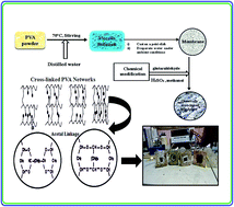 Acid catalysed cross-linking of poly vinyl alcohol (PVA) by ...