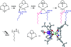 Bis(phenolate) N-heterocyclic carbene rare earth metal complexes ...