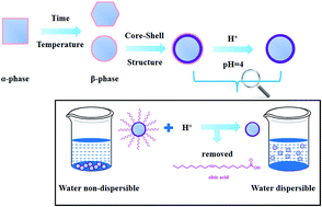 Synthesis and characterization of upconversion nanoparticles with shell ...