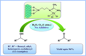 A novel iron(iii)-based heterogeneous catalyst for aqueous oxidation of ...