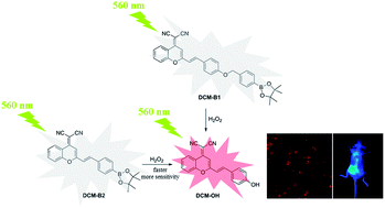 A novel colorimetric and near-infrared fluorescent probe for hydrogen ...