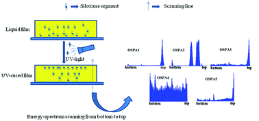 Synthesis and characterization of UV-curable acrylate films modified by ...