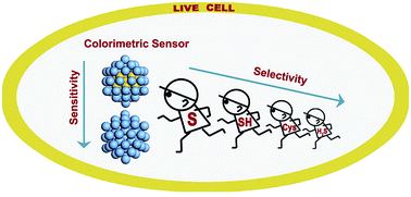 Highly sensitive and selective colorimetric detection of sulphide using ...