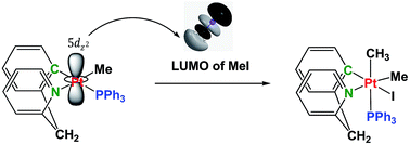 Reactivity comparison of five-and six-membered cyclometalated platinum ...