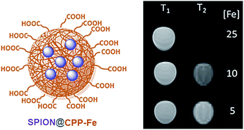 Dual T1/T2 MRI contrast agent based on hybrid SPION@coordination ...